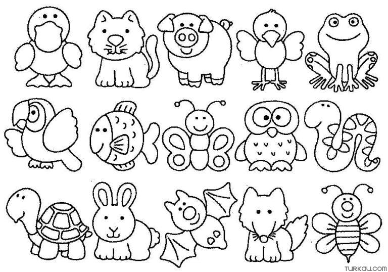 Animal Coloring Page » Turkau