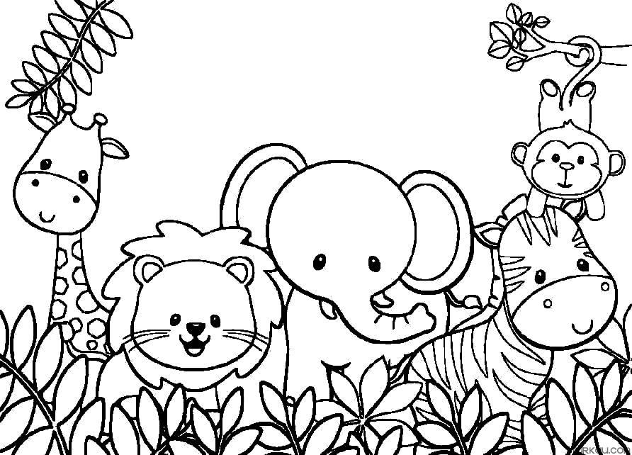 Animals Zoo Coloring Page Turkau Animals Zoo Coloring Page Turkau