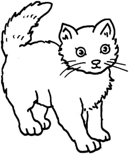 Sam And Cat Pages Coloring Pages