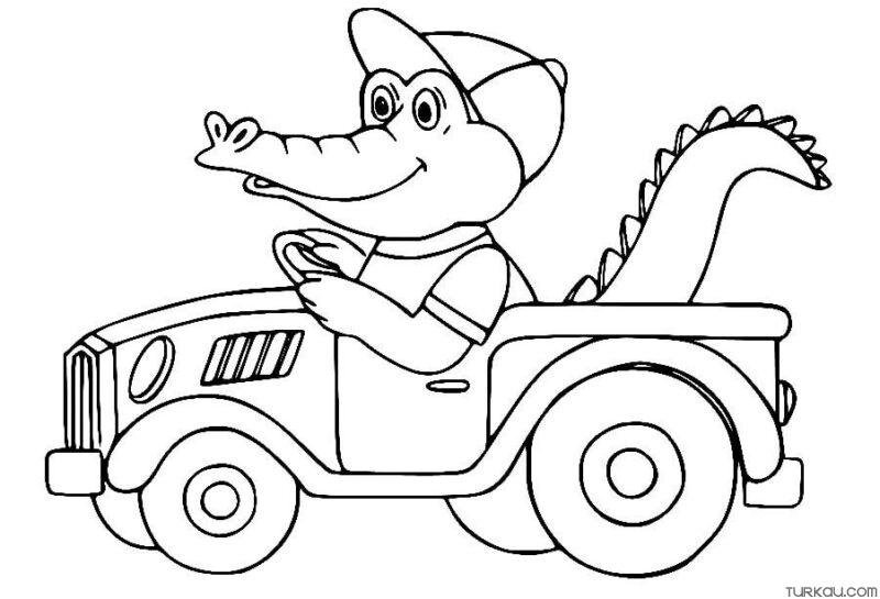 Driving Crocodile Coloring Page » Turkau