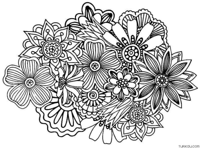 Endemic Flowers Fragrant Nature Coloring Page » Turkau
