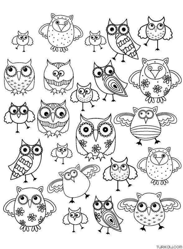 Beautiful Owls Coloring Page » Turkau