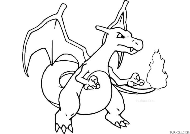 Charmander, Charmeleon, Charizard, Ivysaur, Venusaur (Angry Pokemons ...