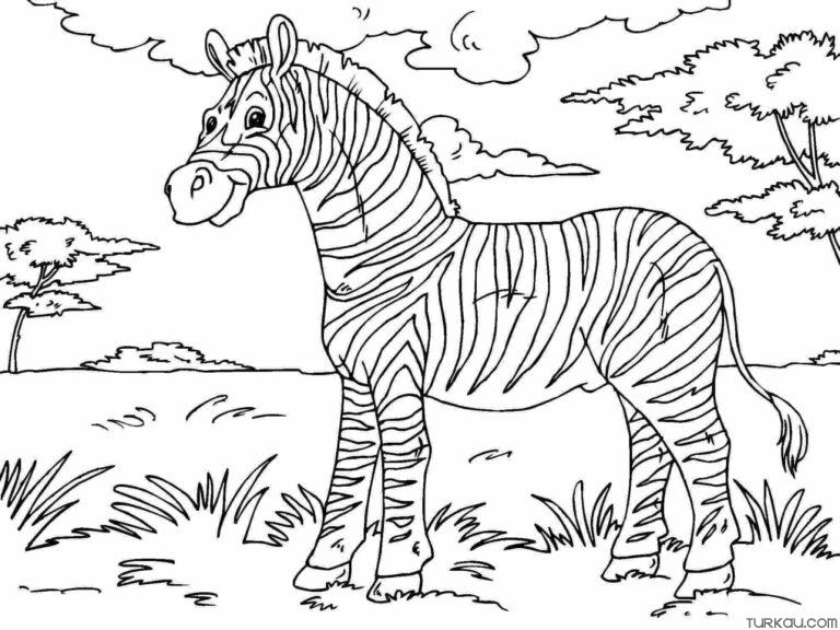Animal Finding Nemo Coloring Page » Turkau