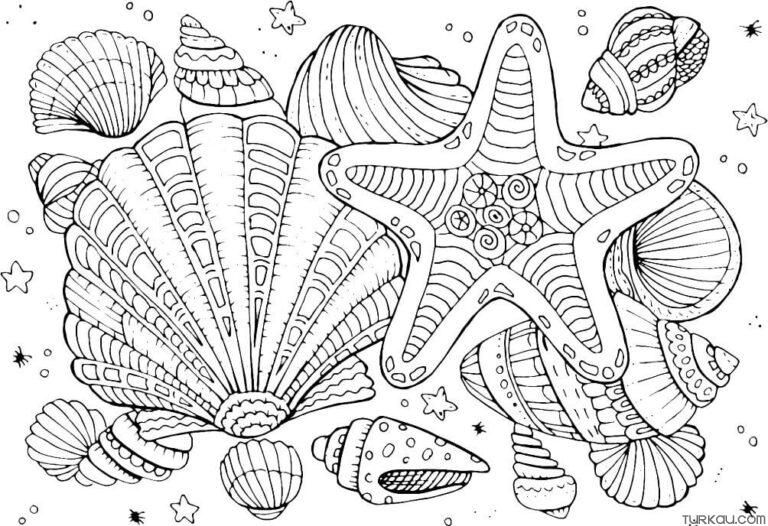 Sea Creatures Starfish Coloring Page » Turkau