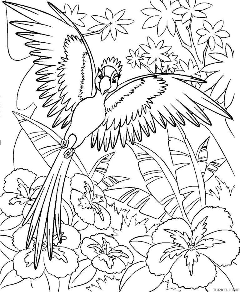 Female Parrot Coloring Page » Turkau