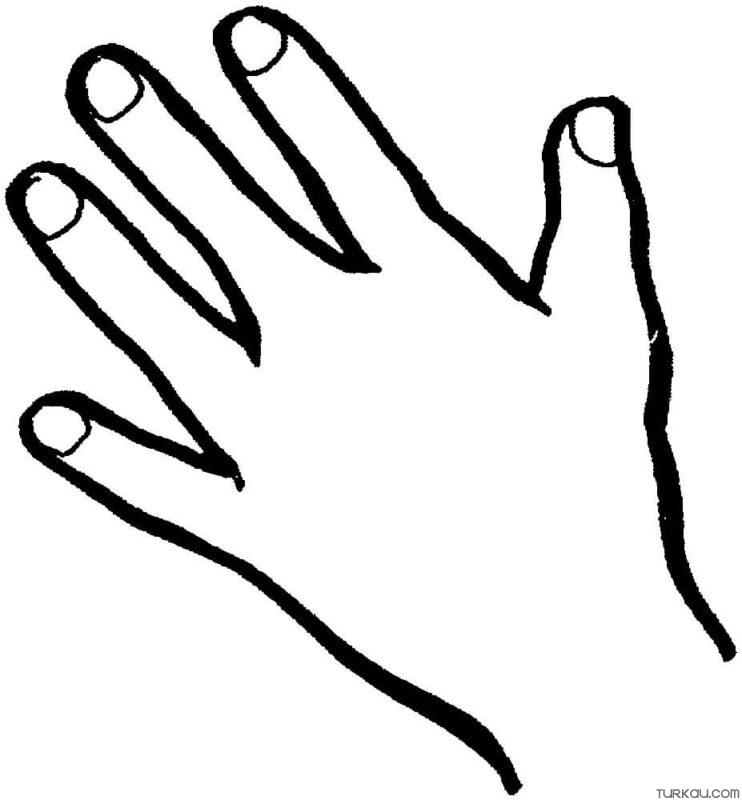 Hand Coloring Page For Kids » Turkau