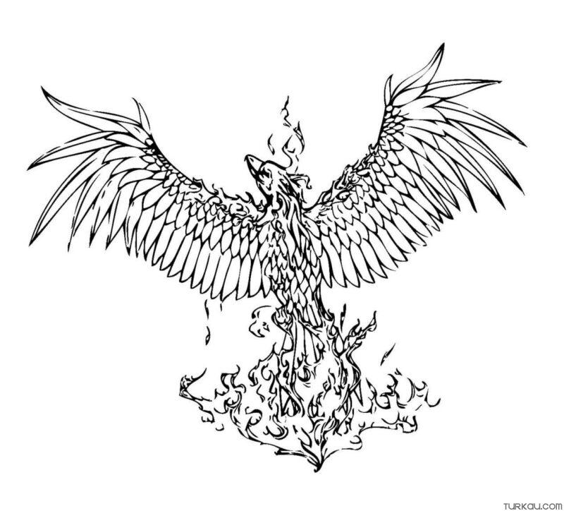 Phoenix Coloring Page » Turkau