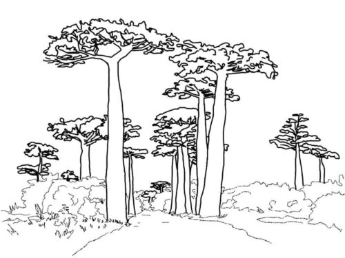 Tree Forest Coloring Page » Turkau