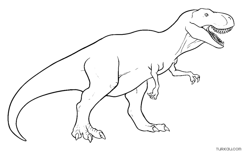 Angry T Rex Dinosaur Coloring Page » Turkau