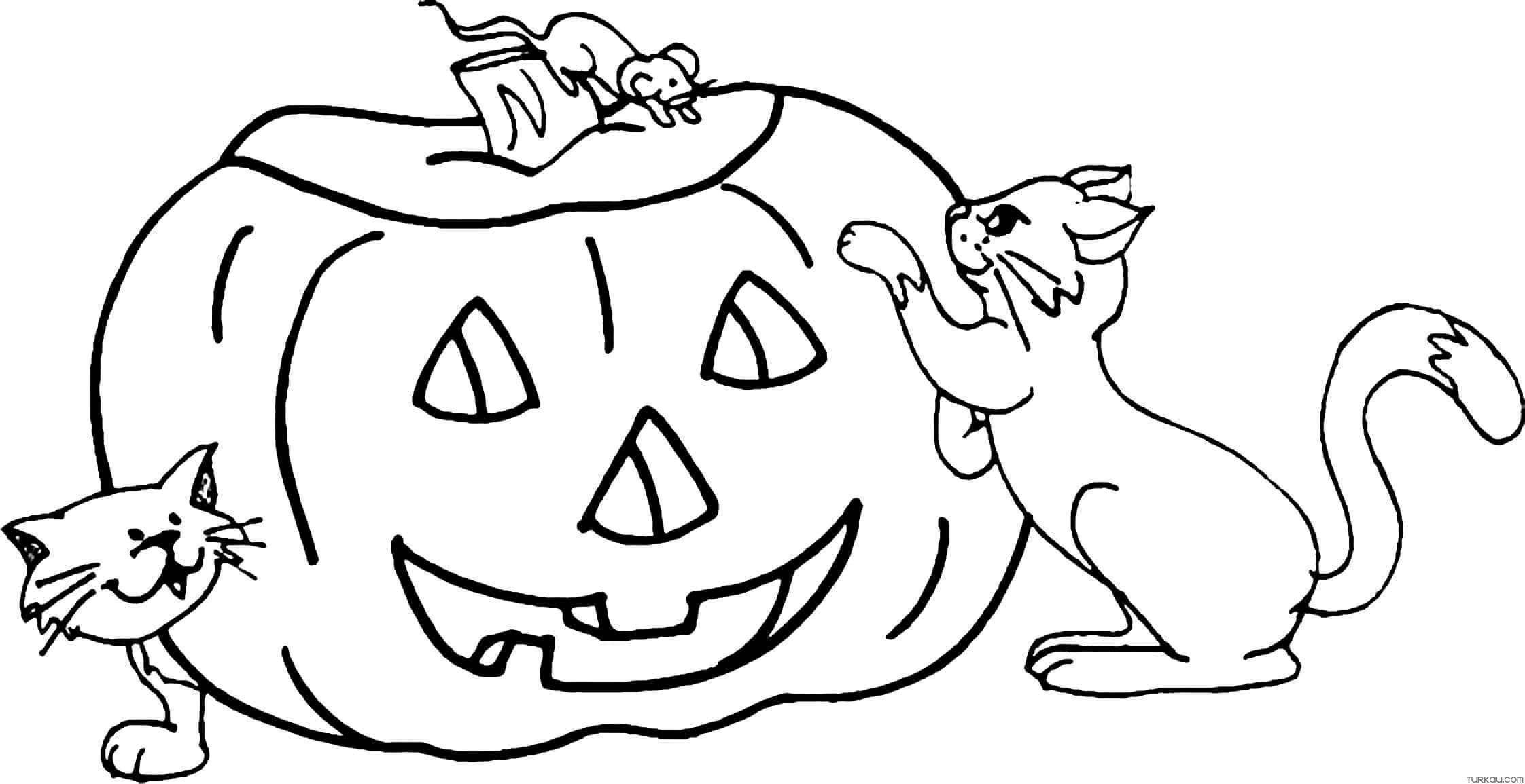 Cat Halloween Pumpkins Coloring Page » Turkau