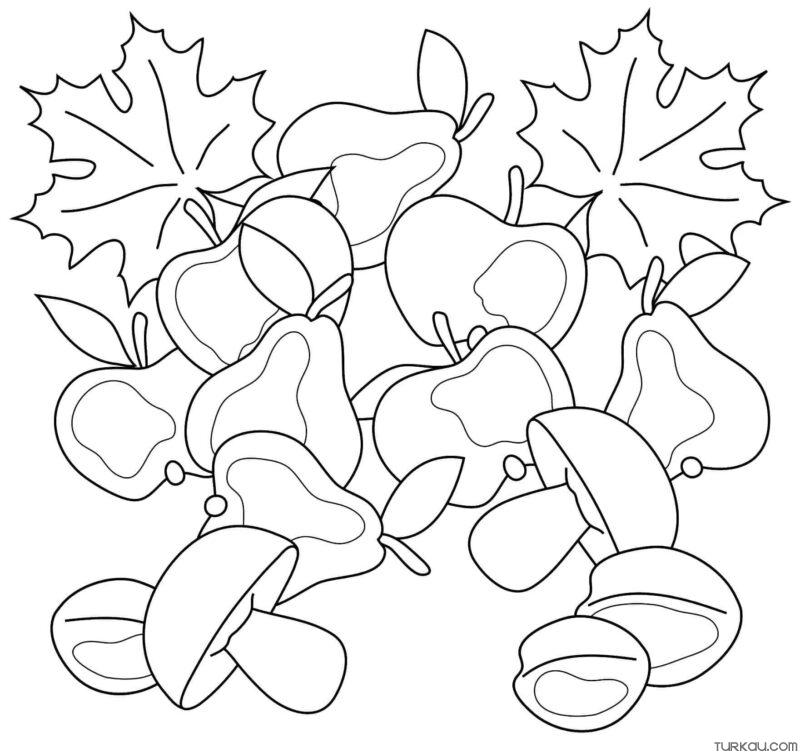 Mushrooms Fall Coloring Page » Turkau