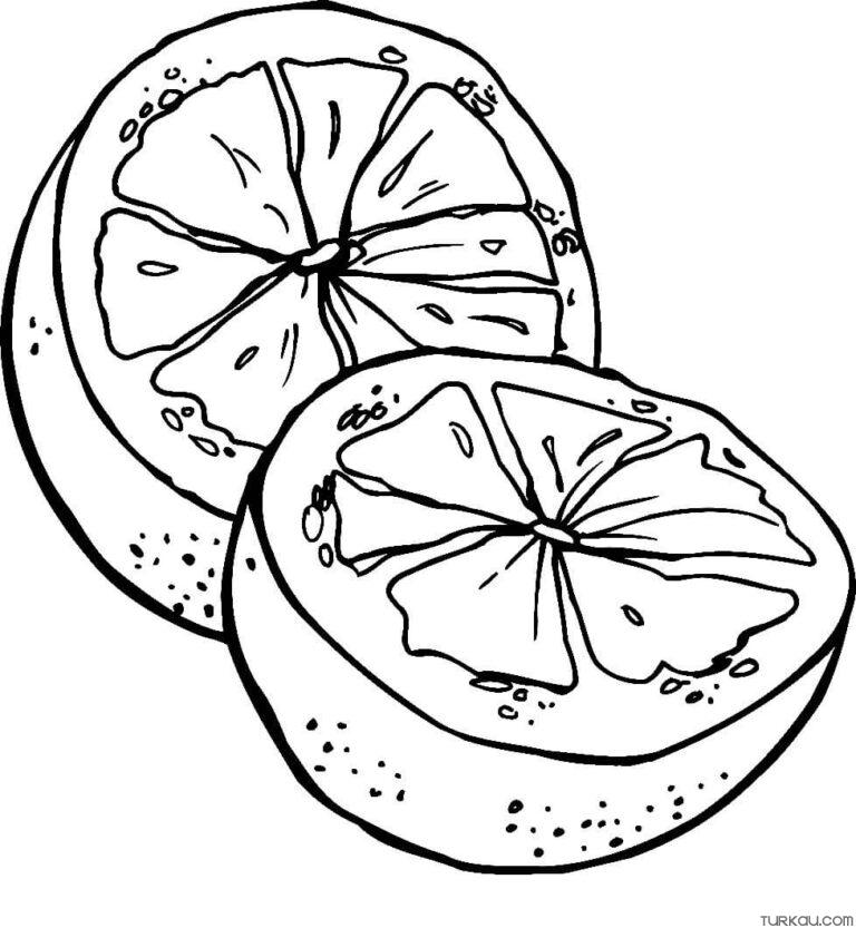 Orange Drawings Coloring Page » Turkau