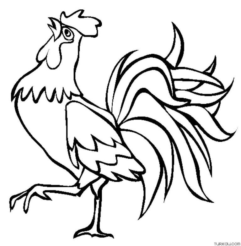 Walking Rooster Coloring Page » Turkau