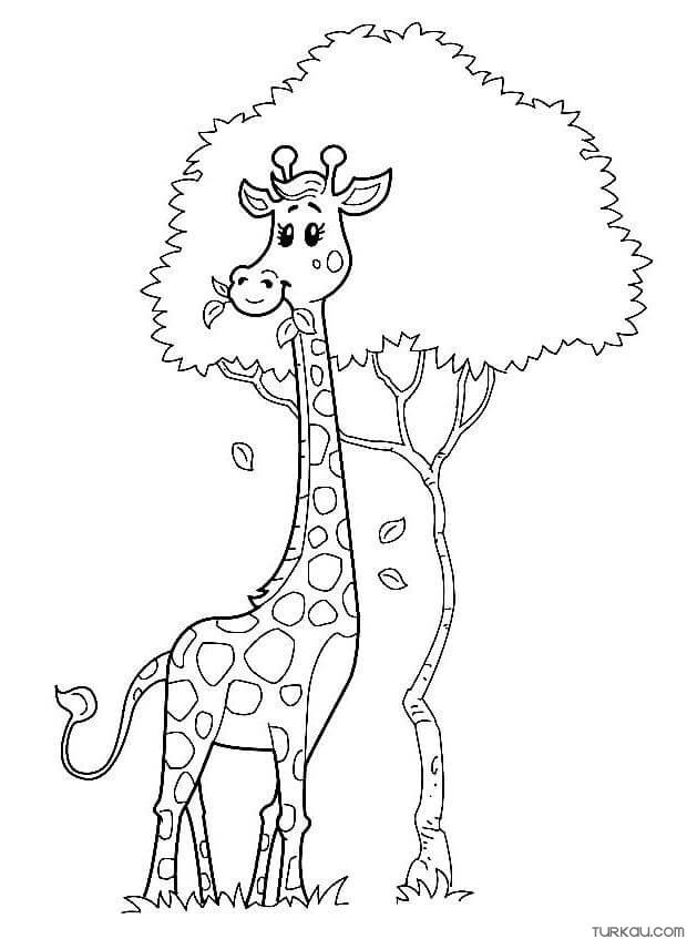 Animal Cute Giraffe Coloring Page » Turkau