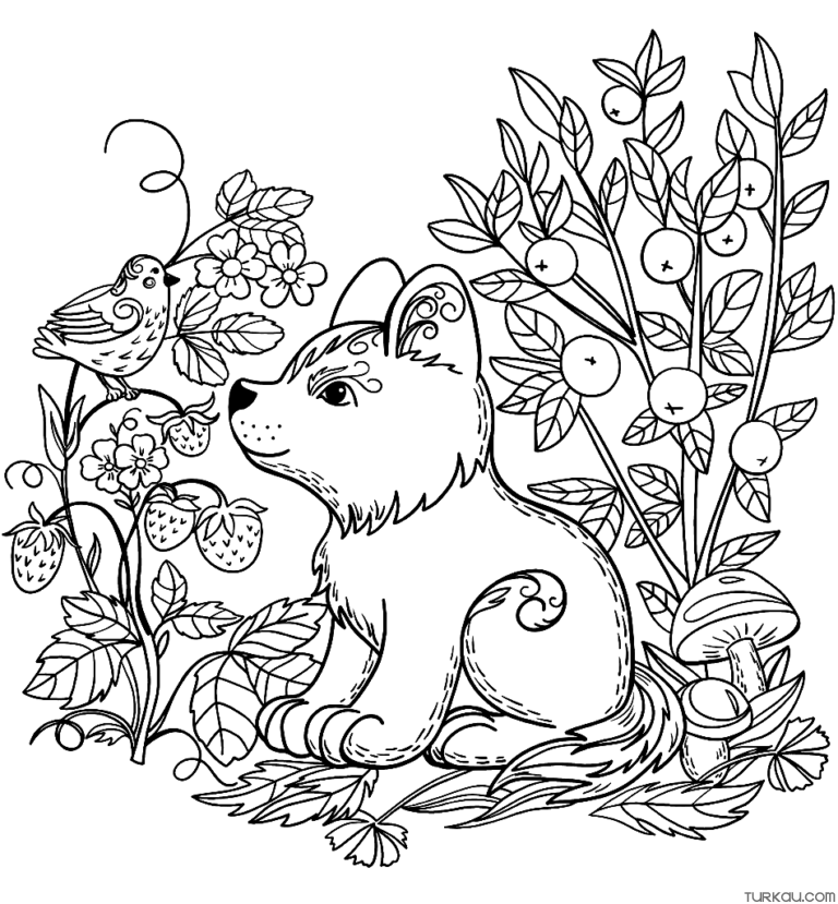 Fox Bird Flowers Nature Coloring Page » Turkau