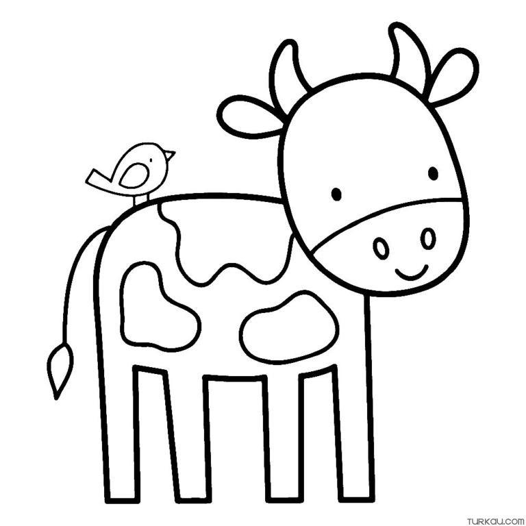 Cute Bird Coloring Pages » Turkau