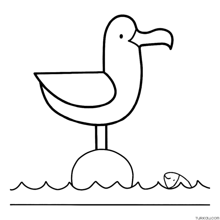 Animal Seagull Easy Coloring Page » Turkau