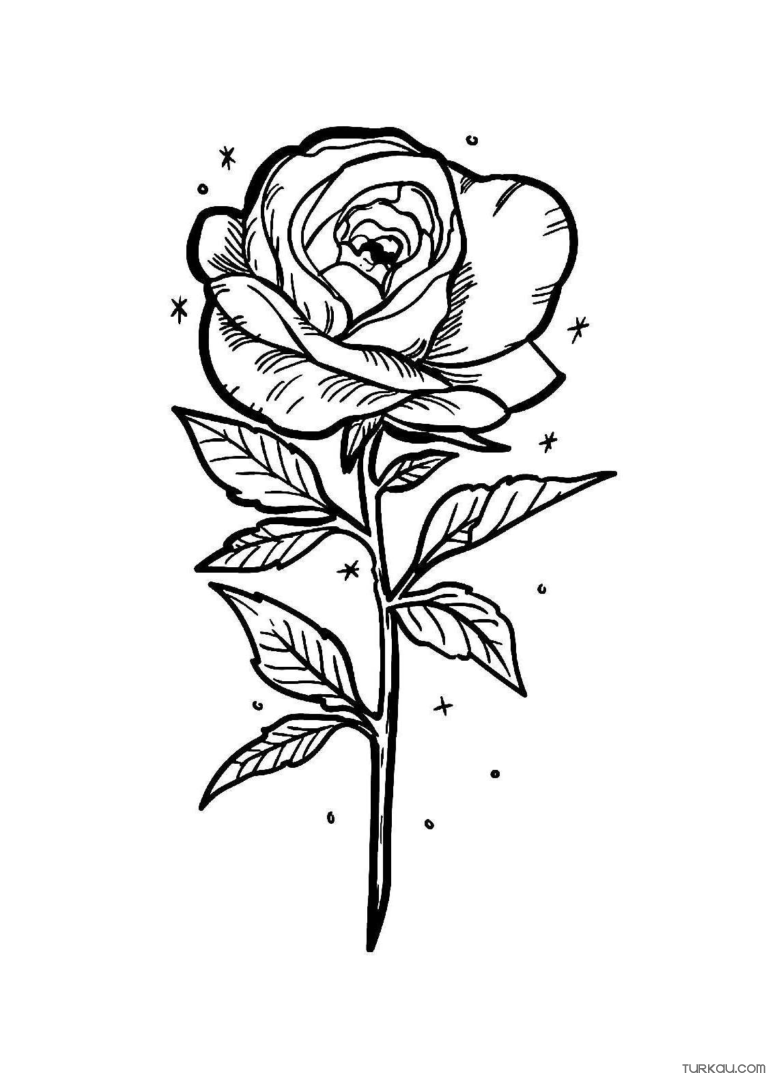 Beautiful Rose Flowers Coloring Page » Turkau