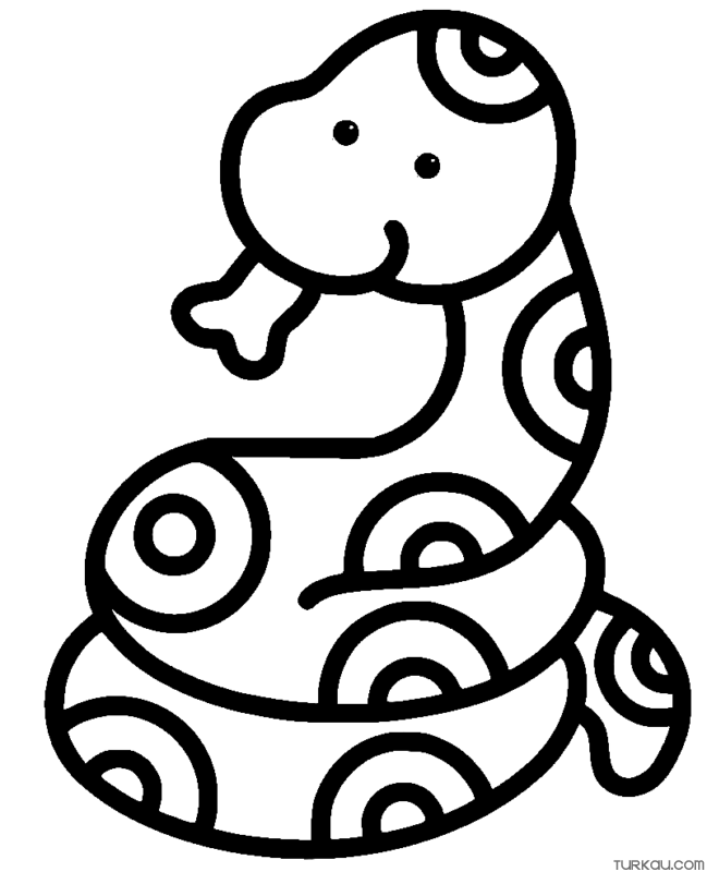 Cute Snake Animal Coloring Page » Turkau