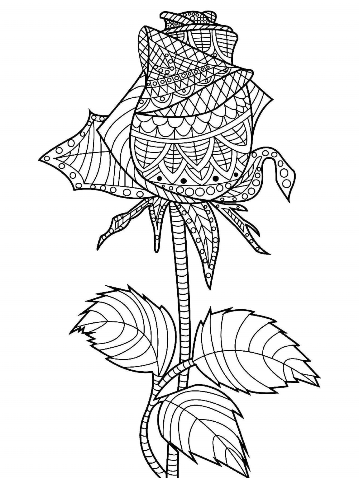 Flower Rose Mandala Coloring Page » Turkau