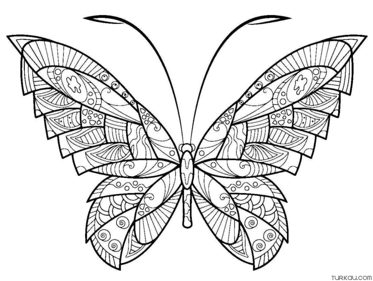 Incredible Butterfly Adult Coloring Page » Turkau