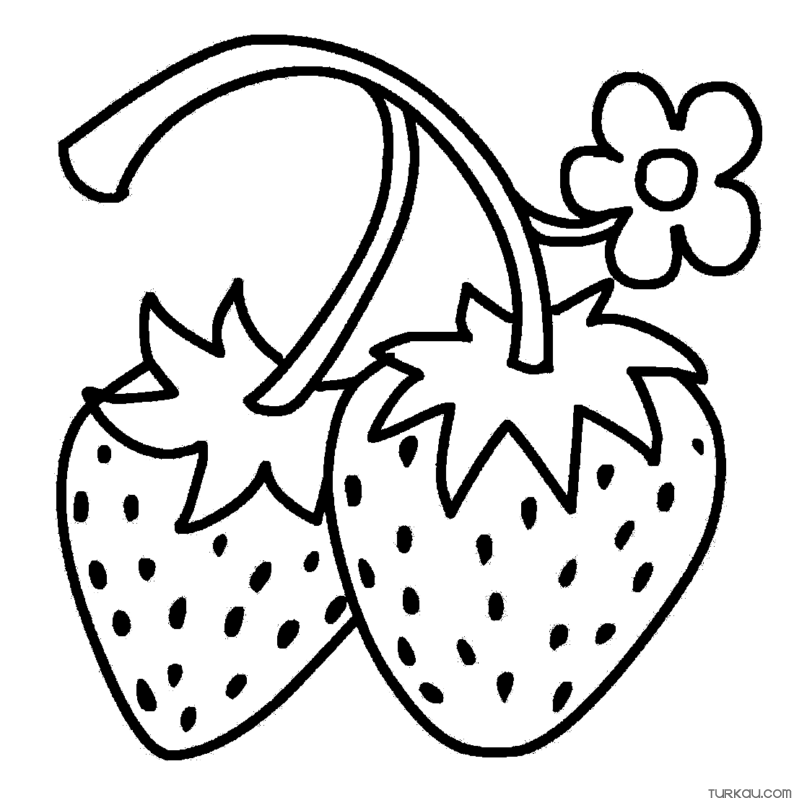 Strawberries Flower Coloring Page » Turkau